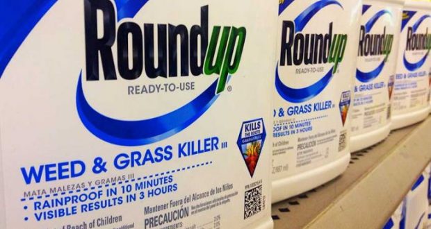 Weed killer Roundup contains ingredient that can kill human cells