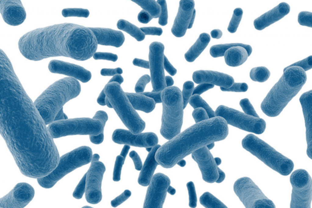 Microbiome – Gut health discoveries revealed | NaturalHealth365