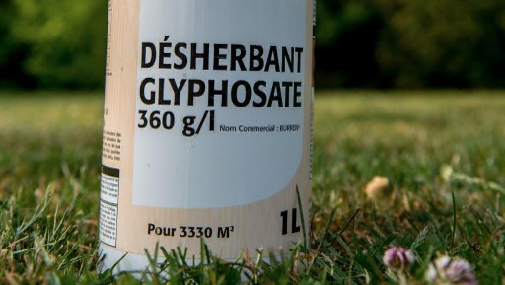 Glyphosate levels testing much higher inside the human body