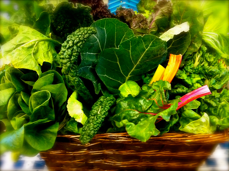 Leafy Greens In The Diet Improve Brain Performance NaturalHealth365 Leafy Greens In The Diet Improve Brain Performance NaturalHealth365