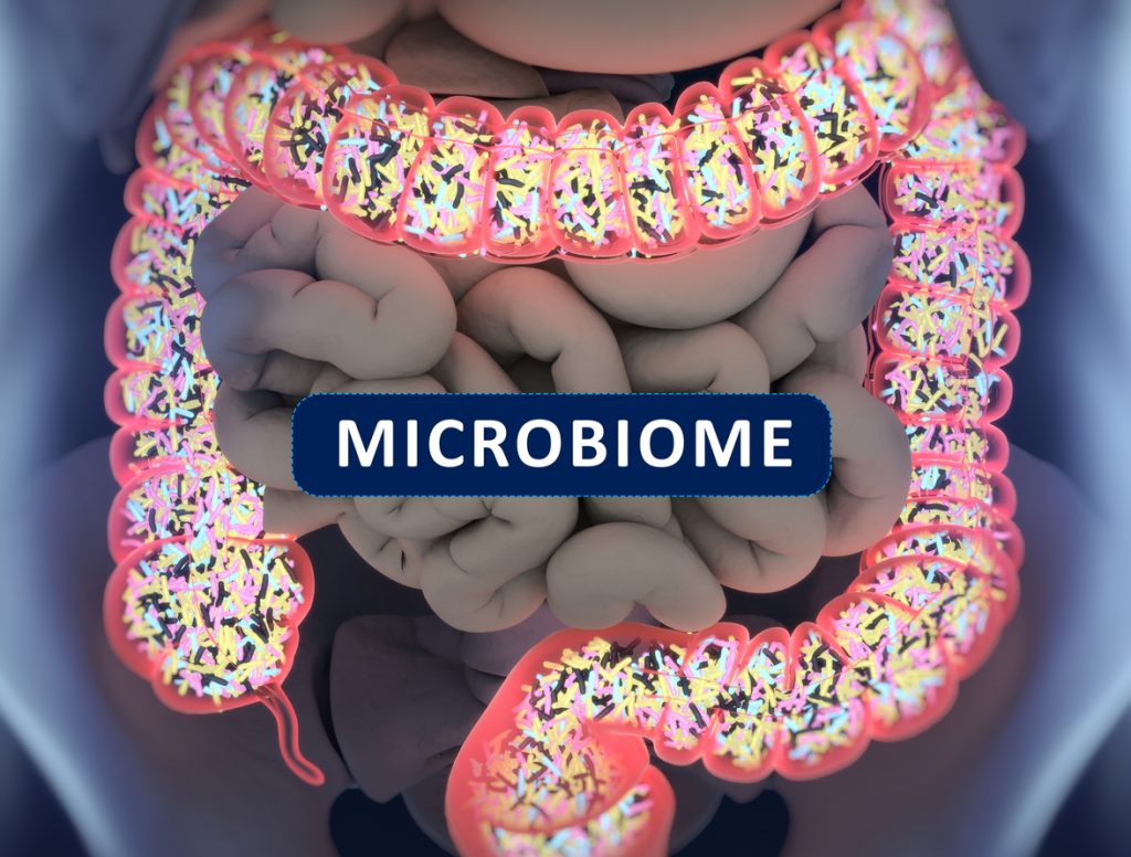 Gut Microbiome Health Strategies Revealed | NaturalHealth365