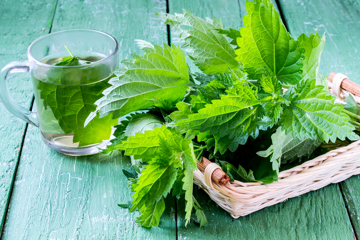 Arthritis Relieved By This Powerful Herbal Remedy | NaturalHealth365