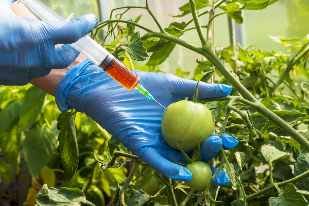 Gene-Edited Foods Are Dangerous To Human Health | NaturalHealth365