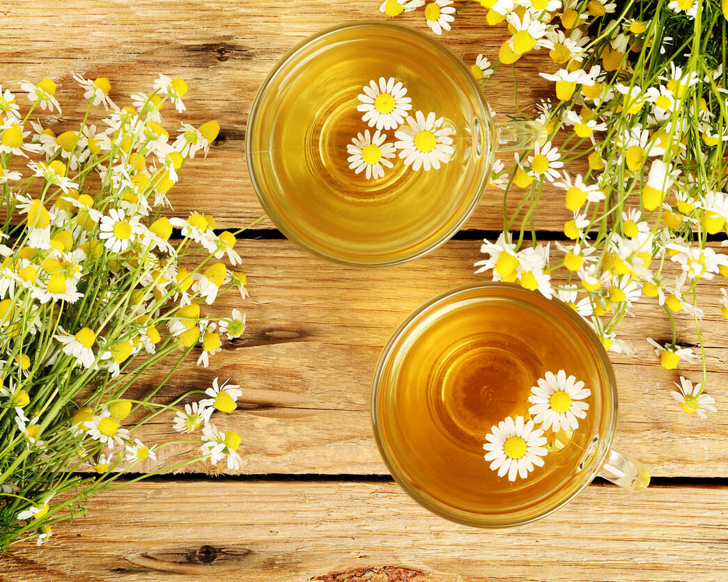 Chamomile Tea Offers Fascinating Benefits | NaturalHealth365